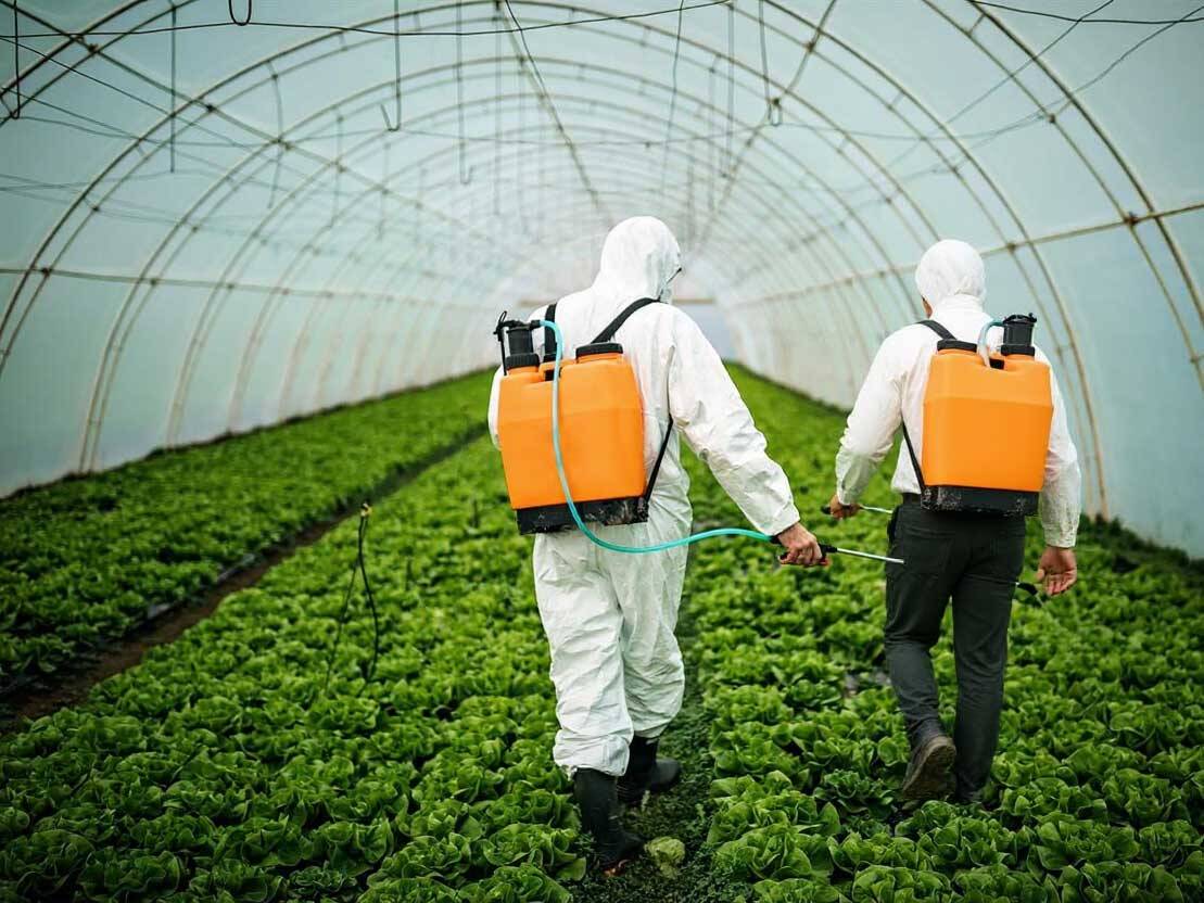 EU Pesticide Reduction Targets: Progress, Challenges, and Pathways to ...